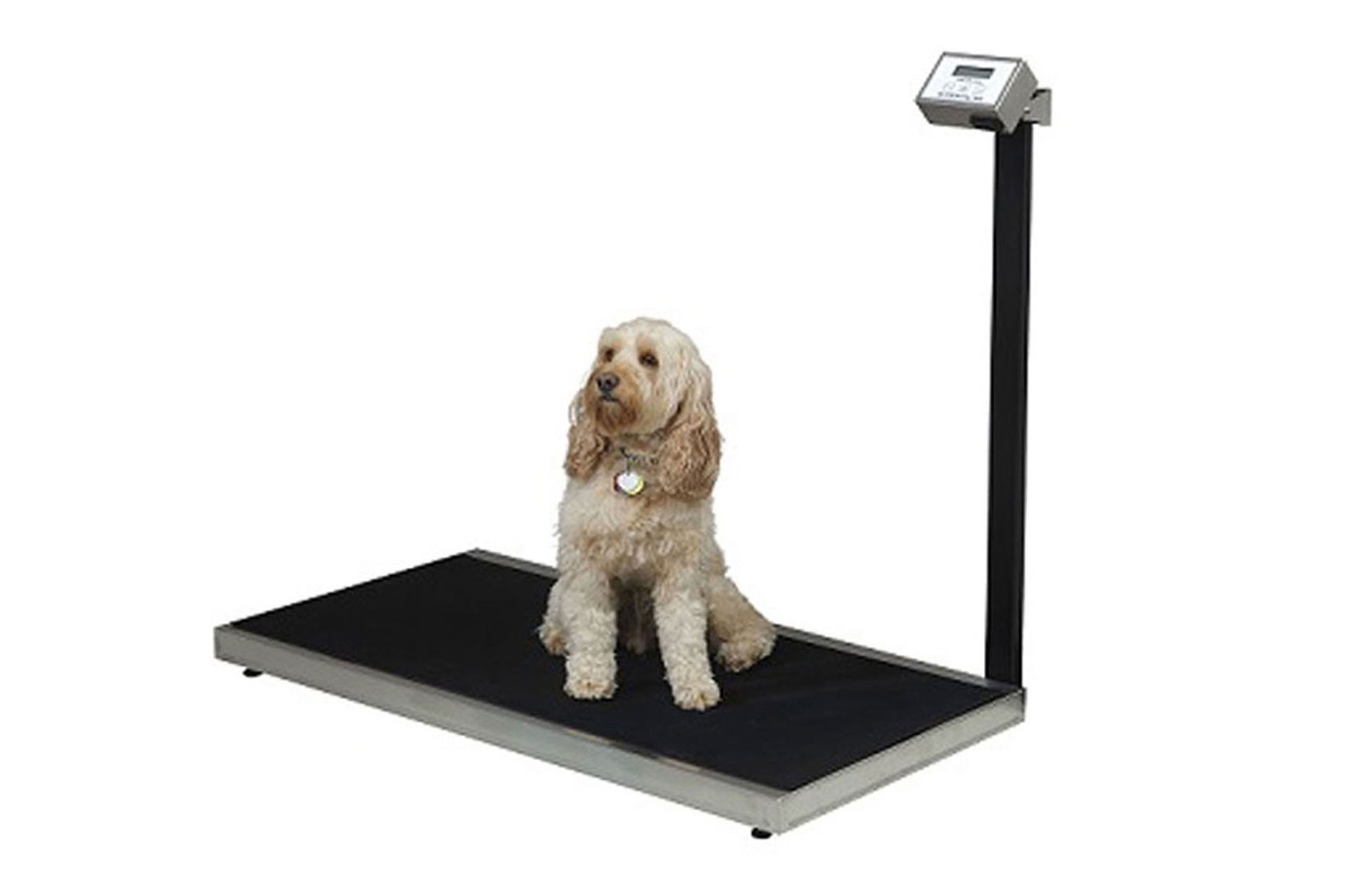 Midmark Platform Scale