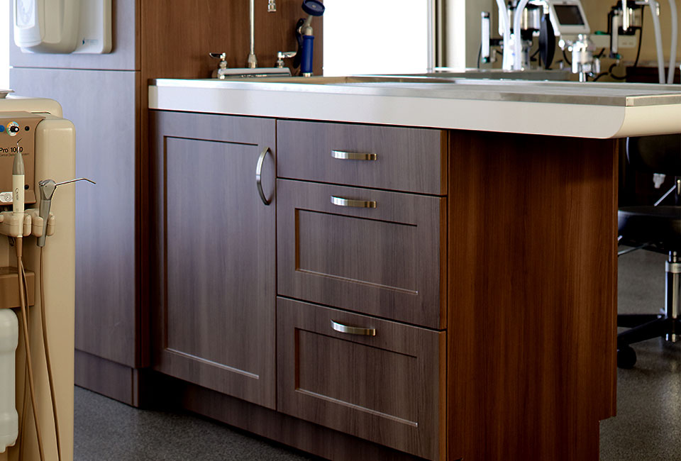 Midmark Veterinary Cabinets | Cabinets Matttroy