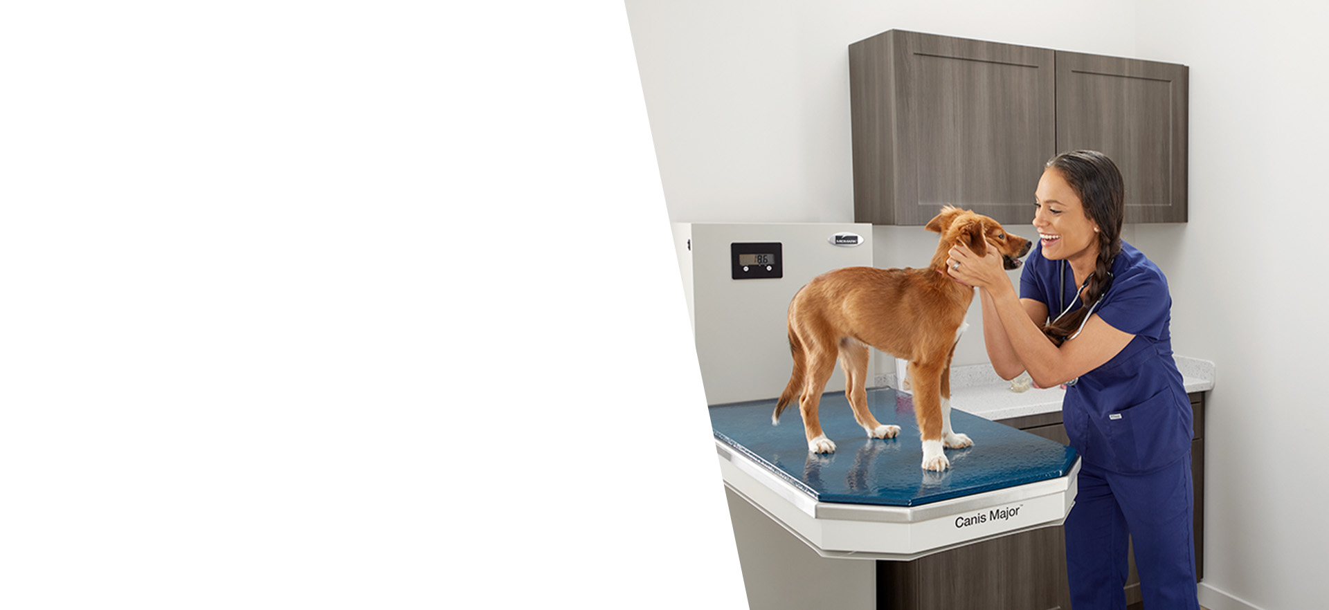 Midmark | Animal Housing